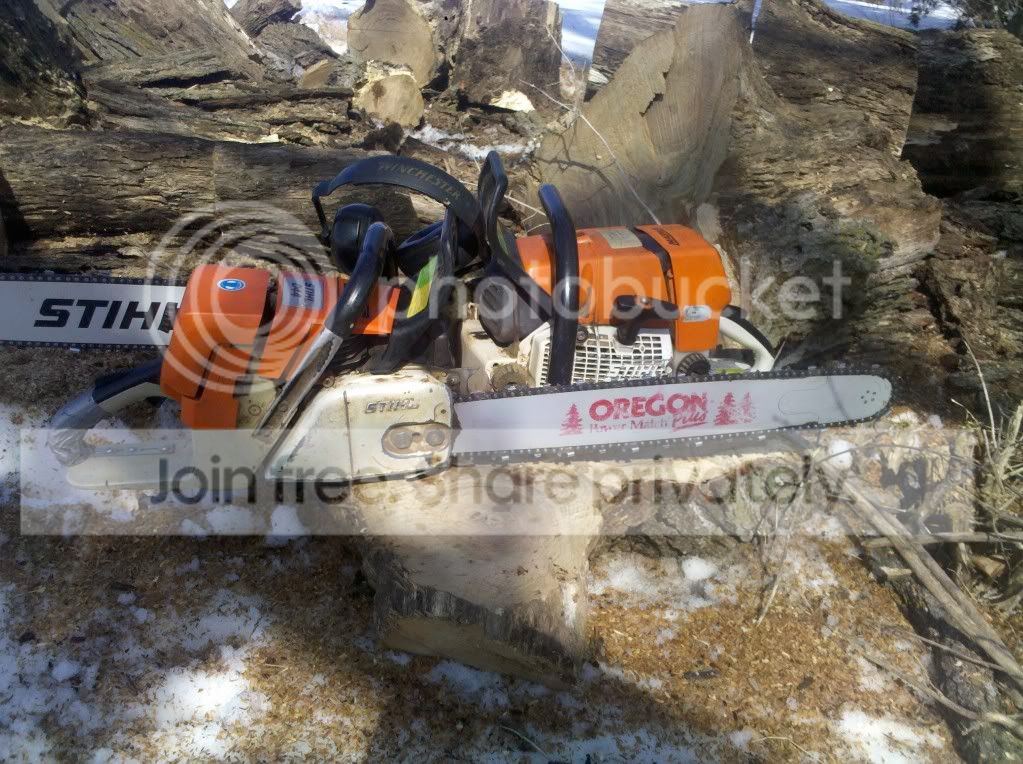 Timber! | Arborist, Chainsaw & Tree Work Forum