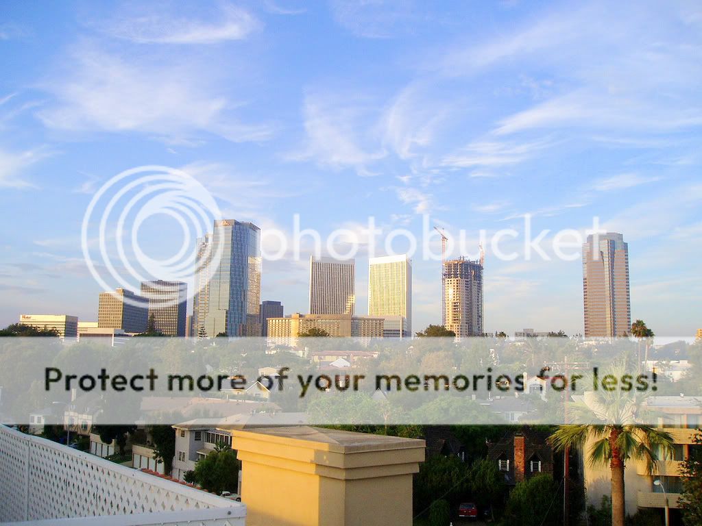 What does LA look like? (must see!) (trees, photos) - Los Angeles ...