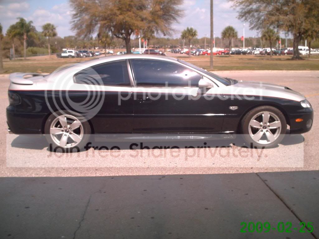 Two Tone Lives!!!!! | LS1GTO Forums